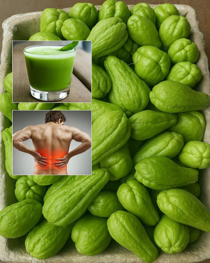 Chayote Juice for Kidney & Back Pain Relief – Awesome Food